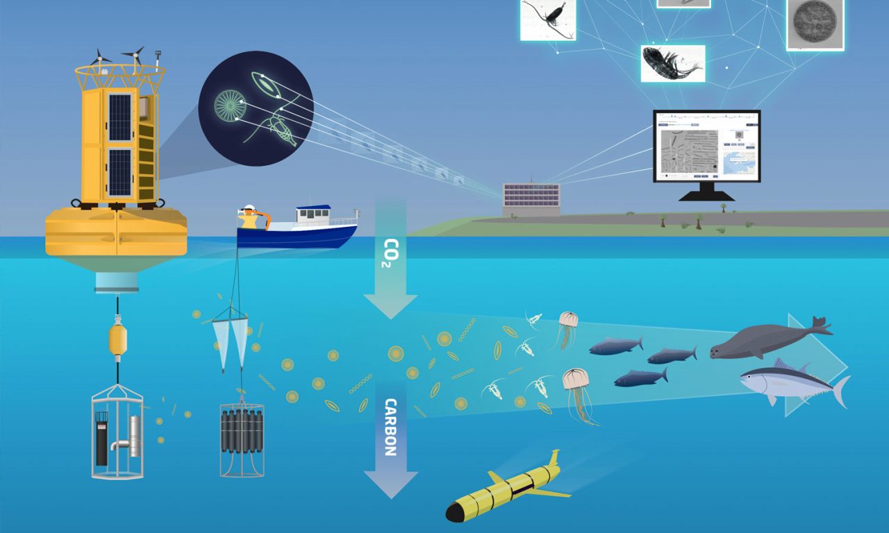 The Oceanography Society | The Oceanography Society